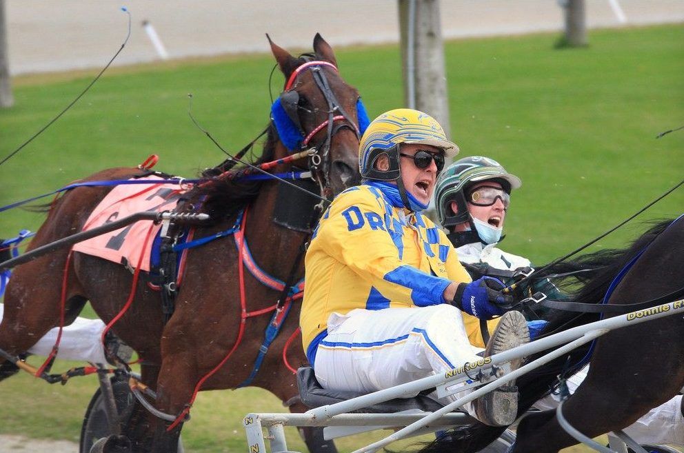 Leamington Raceway launching new harness horse racing season | Windsor Star