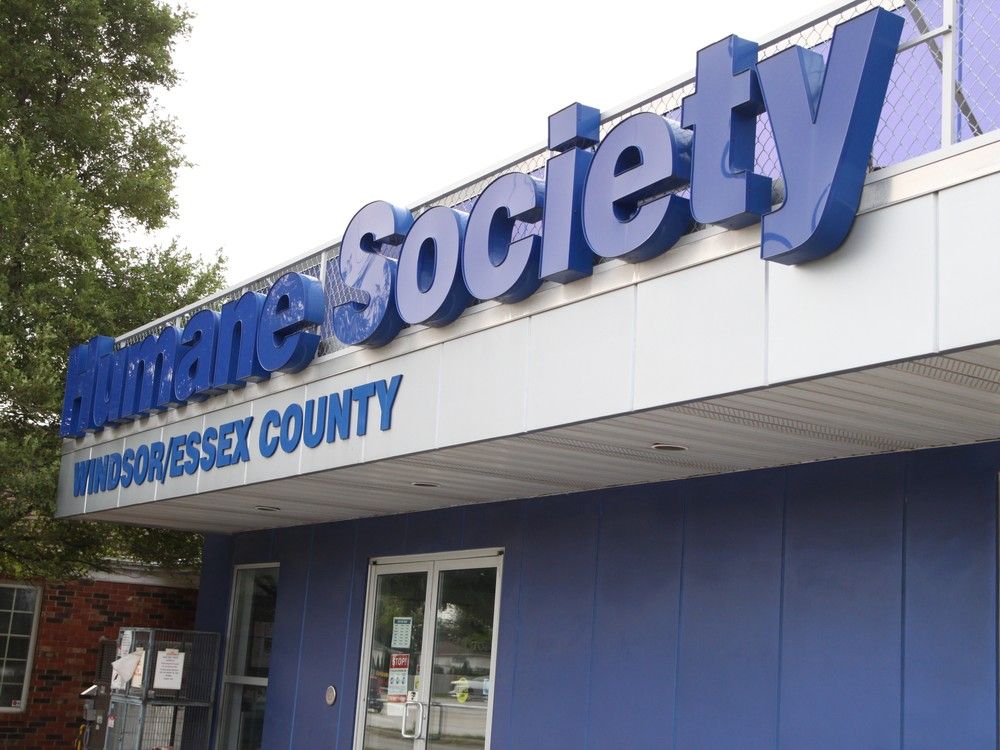New Windsor/Essex humane society memberships to be determined | Windsor ...