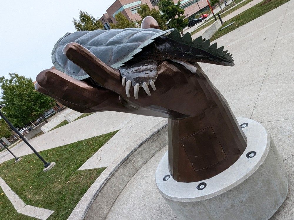 UWindsor turtle inspires on National Day of Truth and Reconciliation ...