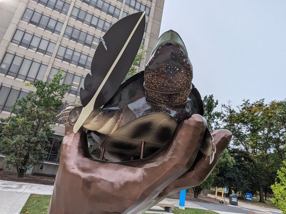 UWindsor turtle inspires on National Day of Truth and Reconciliation ...