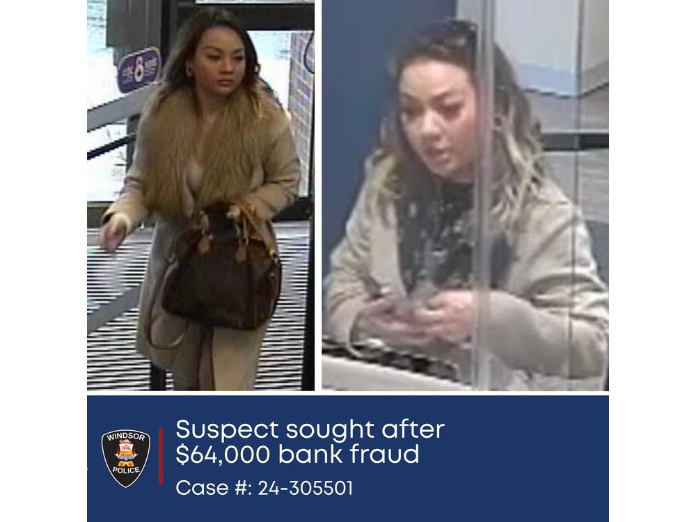 Windsor bank fraud suspect arrested in Niagara Falls | Windsor Star