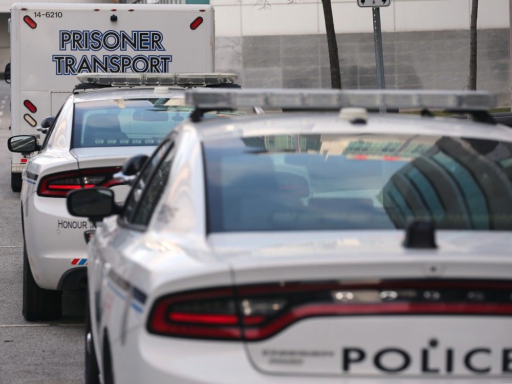 Pedestrian injured in hit and run | Windsor Star