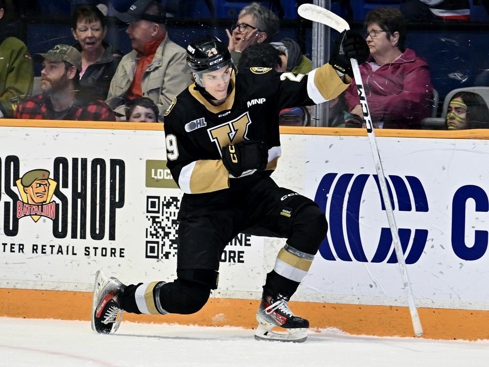 Luke McNamara is back in familiar territory. | Windsor Star