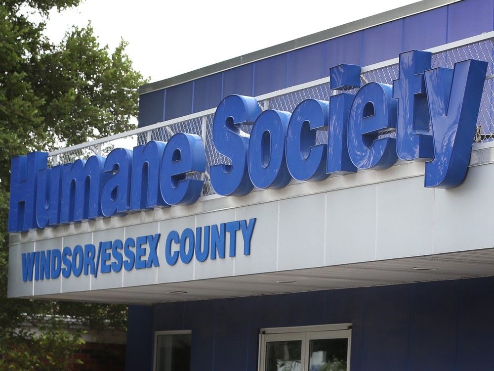 Humane society hit with lawsuit over disputed memberships | Windsor Star