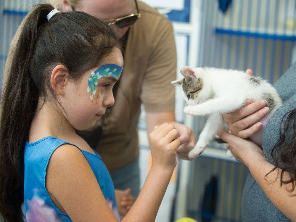 Windsor humane society puts best paws forward at shelter open house ...