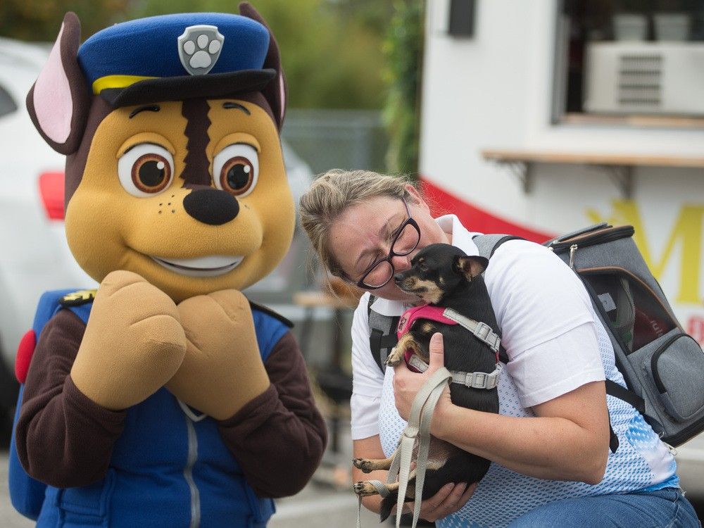 Windsor humane society puts best paws forward at shelter open house ...