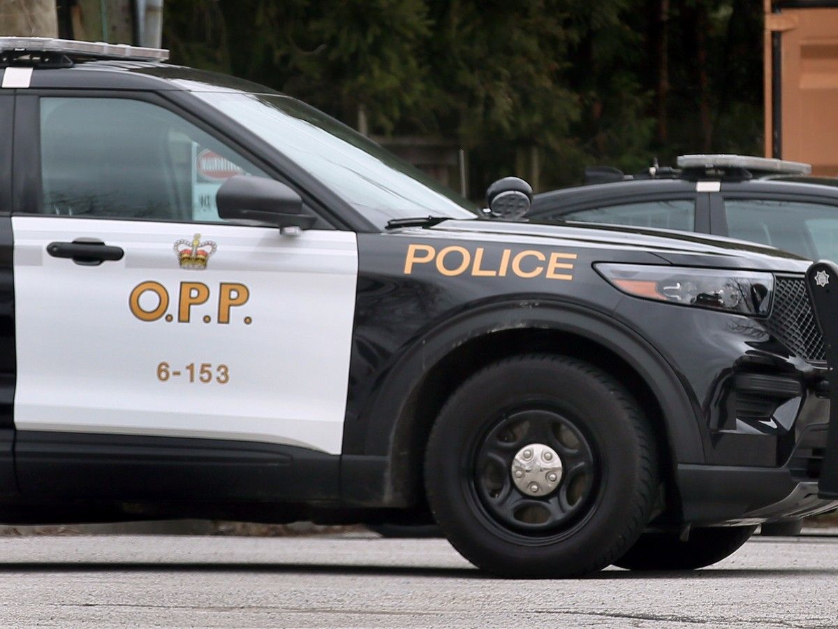 OPP launches Stop Look Live campaign | Windsor Star