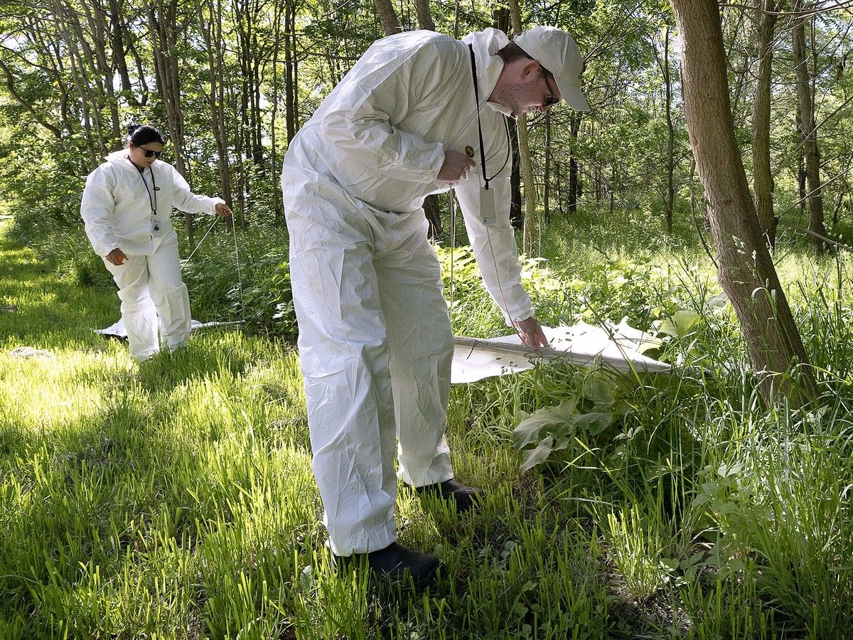 Windsor-Essex health officials brace for tick season | Windsor Star
