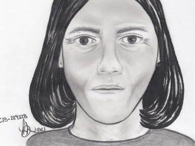 Sketch of attempted murder suspect released | Winnipeg Sun