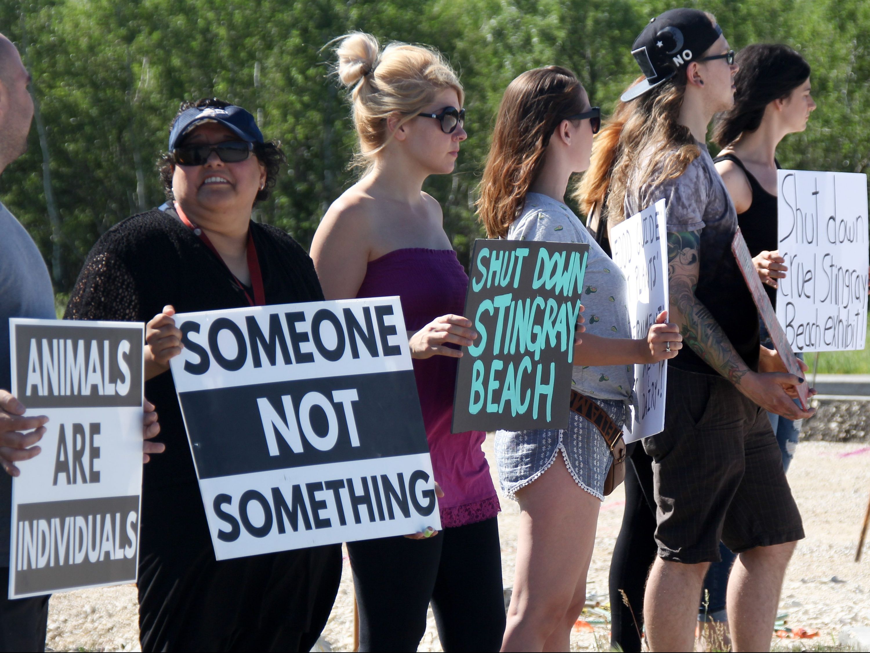 STINGRAY PROTEST: Animal activists call on Zoo to keep exhibit closed ...