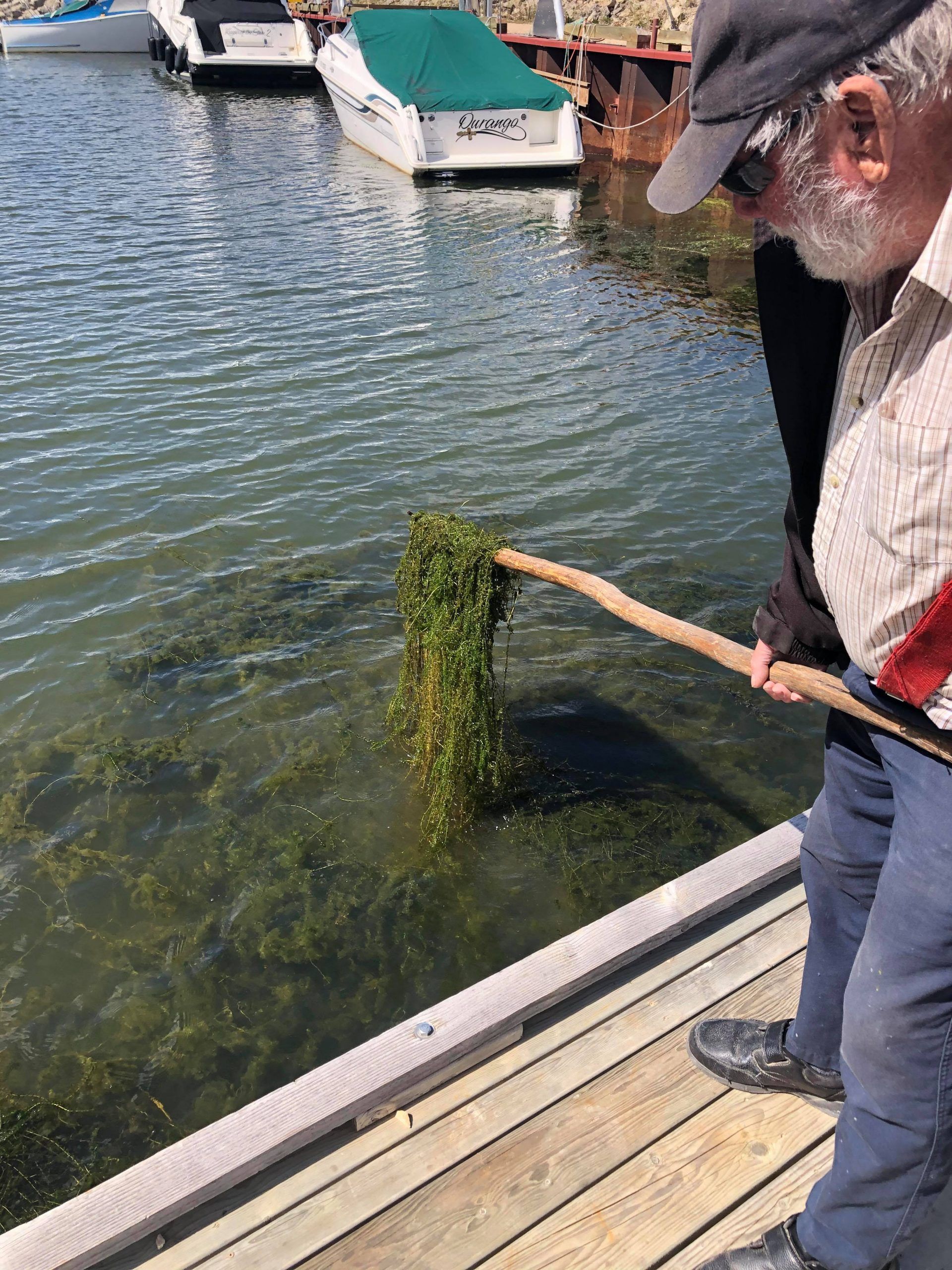 Lake Manitoba dynamic sure to change with invasion of zebra mussels ...