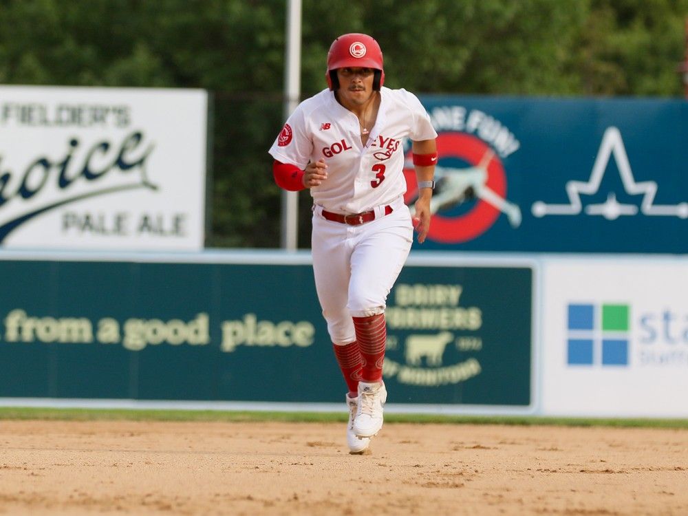 Goldeyes split series with Sioux Falls | Winnipeg Sun