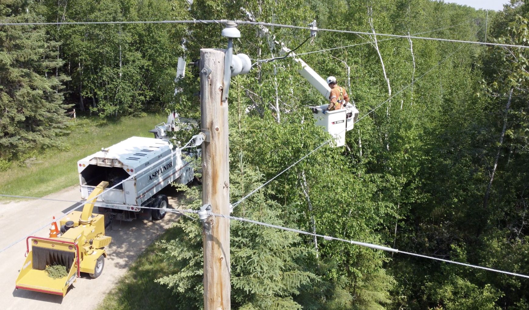 Manitoba Hydro Launches Interactive Map to Track Tree-Clearing Work ...