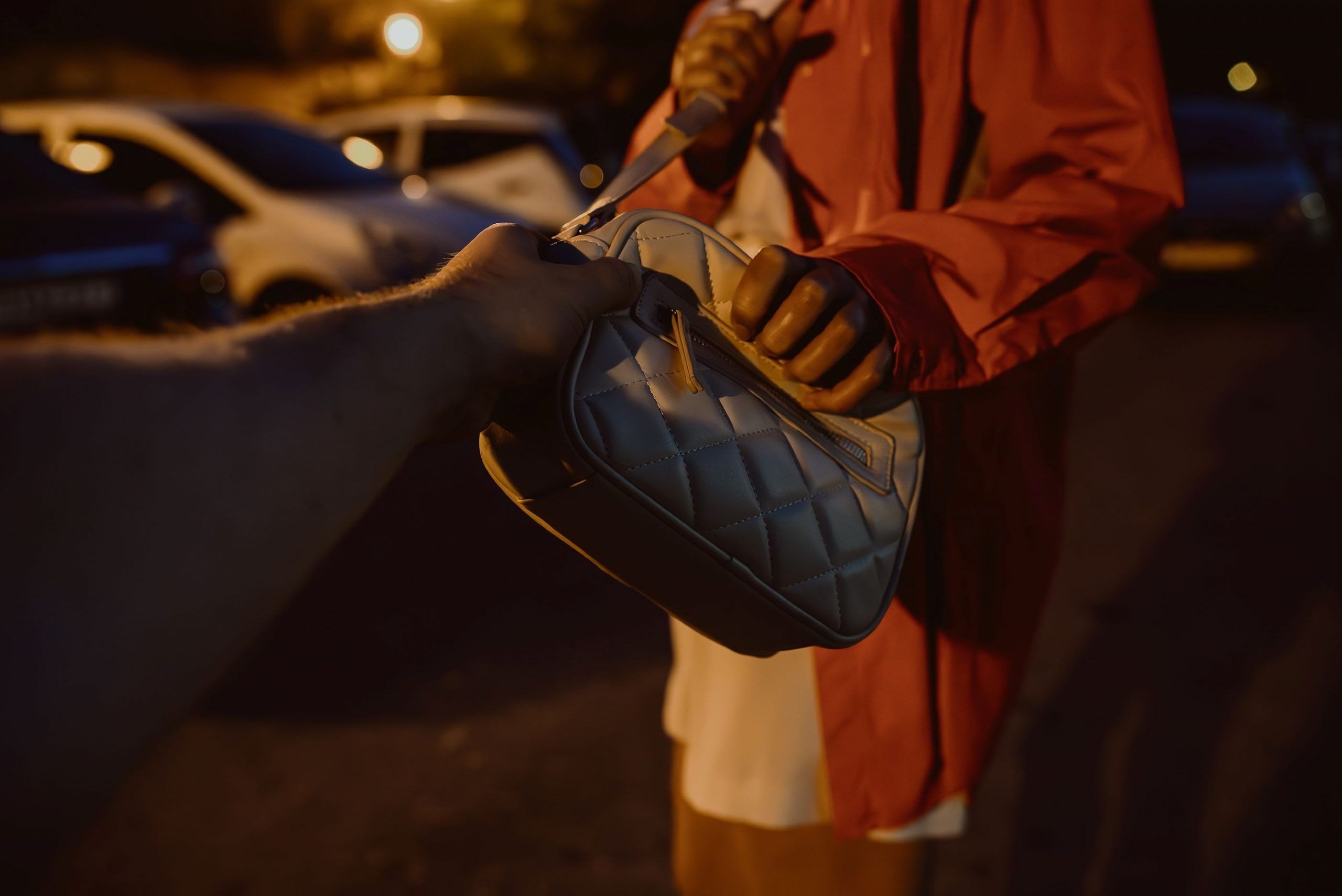 Police seek witness after purse snatching on Marion Street | Winnipeg Sun